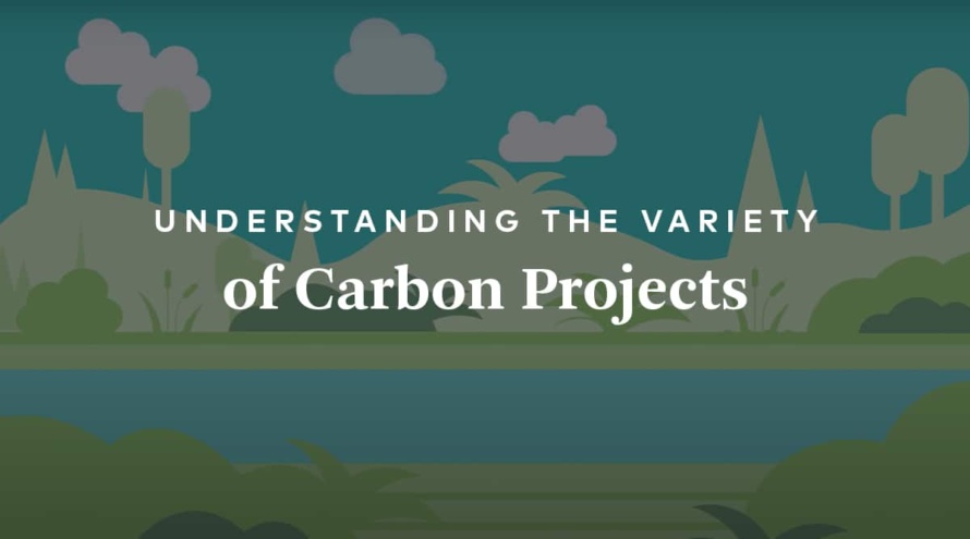 Understanding the variety of carbon projects (video) | Insights | 3Degrees